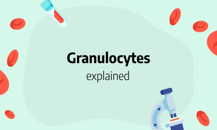Monocytes: low, high, absolute count and normal range, causes
