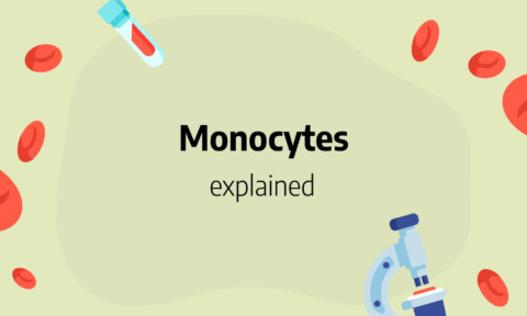 Monocytes: low, high, absolute count and normal range, causes