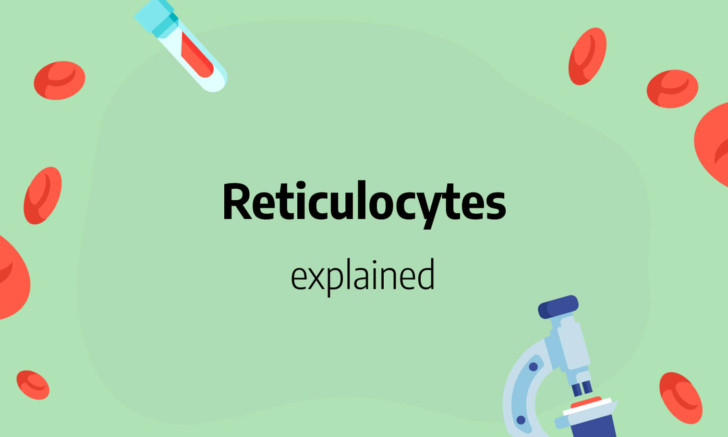 Reticulocytes: Functions, Low, high, Normal Ranges, Diagnoses