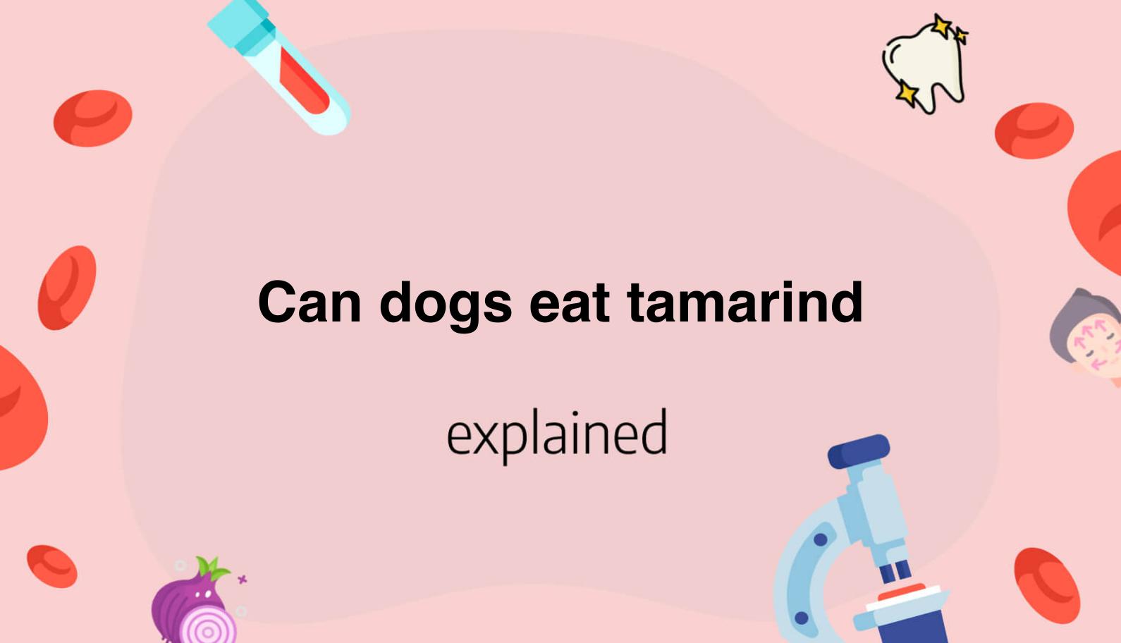 Can dogs eat tamarind