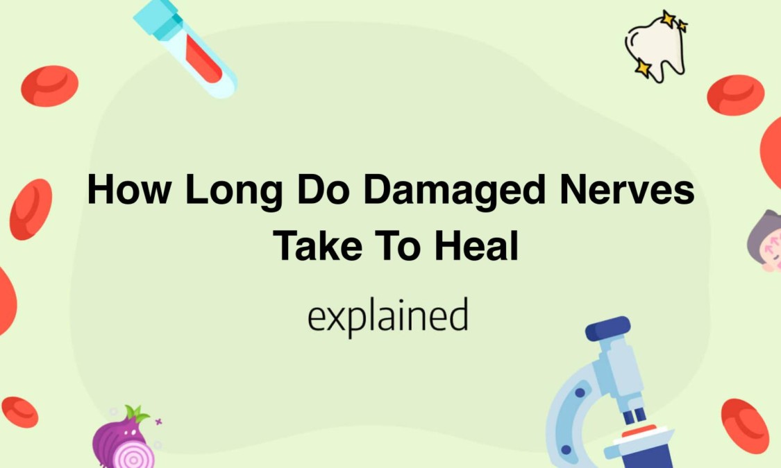 How Long Do Damaged Nerves Take To Heal