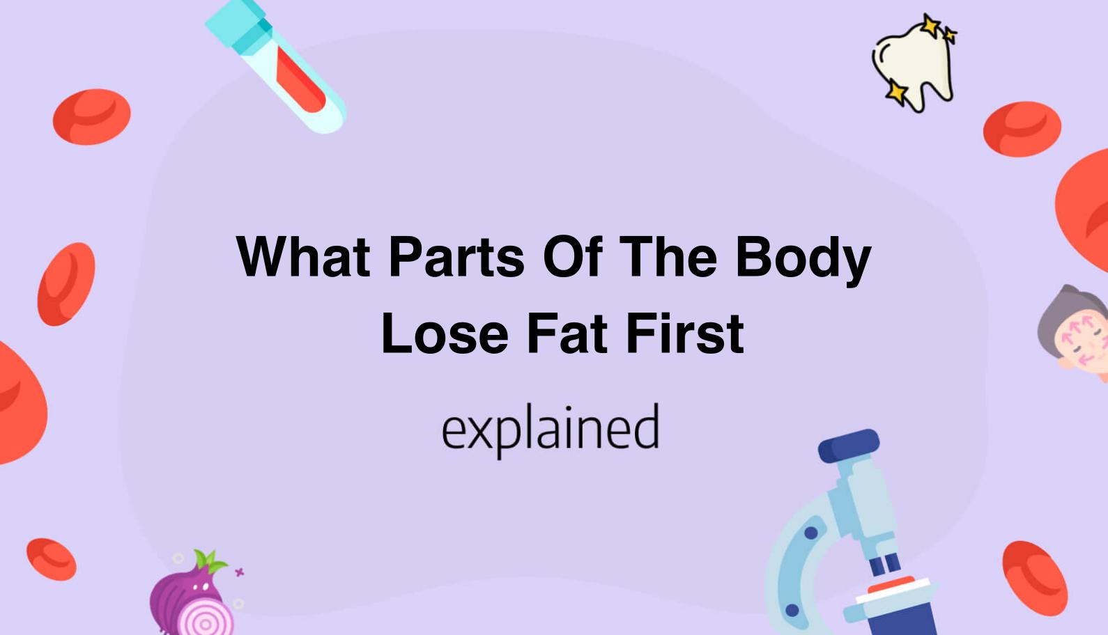 What Parts Of The Body Lose Fat First