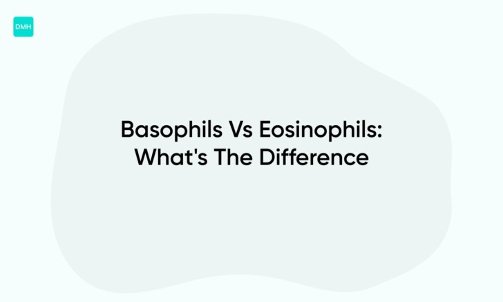 Basophils Vs Eosinophils: What's The Difference