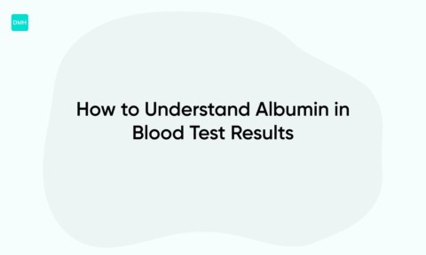 How to Understand Albumin in Blood Test Results